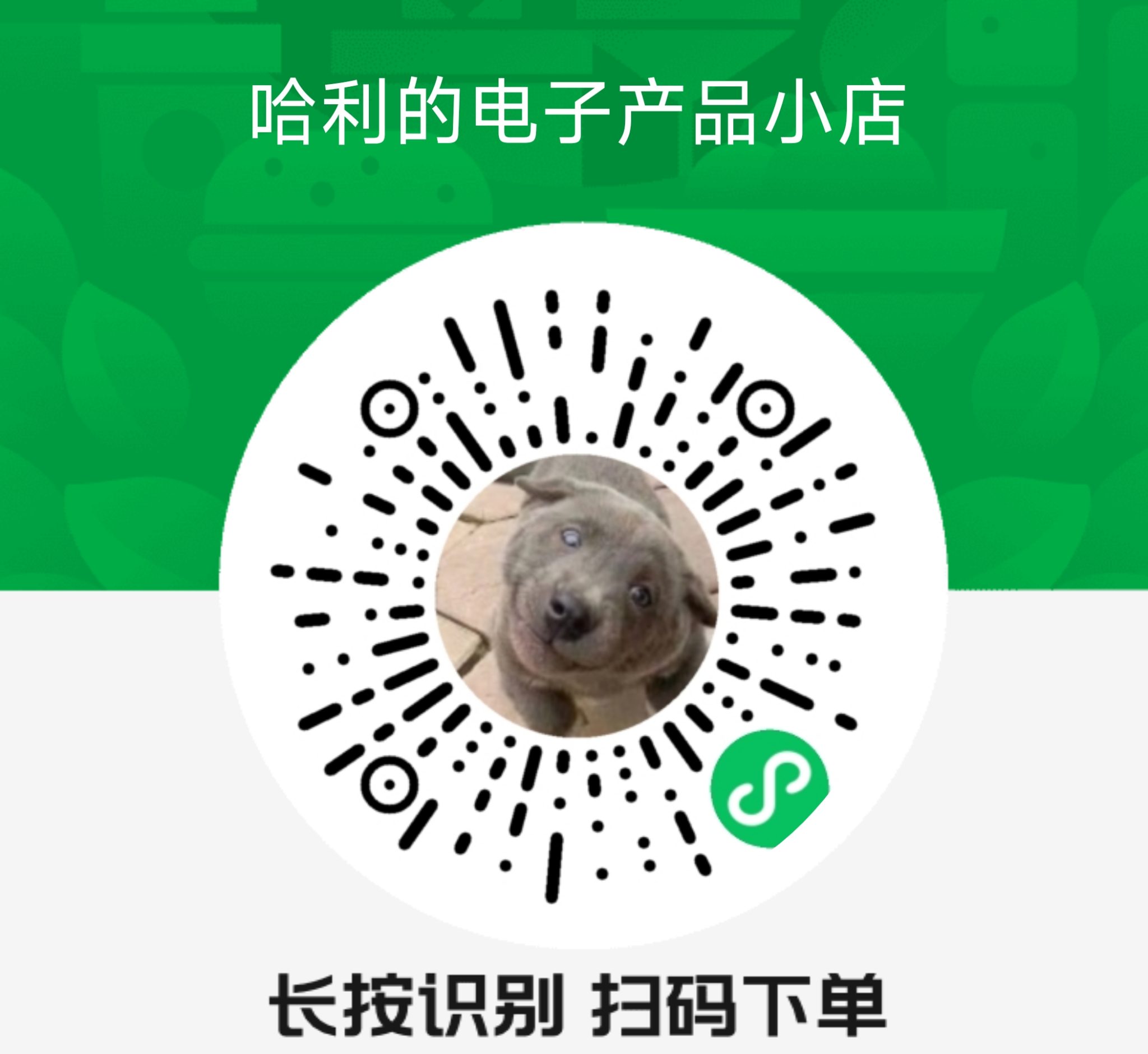 【Rust Desk】手搓一个远程桌面软件，完全取代 向日葵、ToDesk！ – 程序员哈利